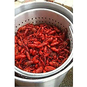 Professional Grade 80 Quart All Purpose Boiling Pot with Basket (3pc) plus a Bonus 12 Quart Stock Pot (2pc) .