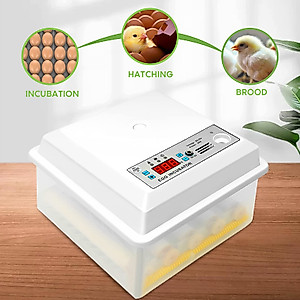 16 Eggs Incubator for Chicken Eggs, Led Candler Automatic Egg Turner Temperature Control,Poultry Hatcher for Chick, Duck, Quail, Goose Eggs