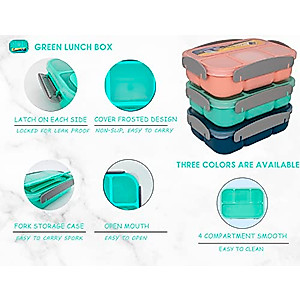 HappyRhino Bento Lunch Box for Kids Adult,4 Compartment Lunch Box Containers,With Accessories Silicone Food Cake Cups, Cute Food Picks for Kids,Easy to Clean (GREEN)