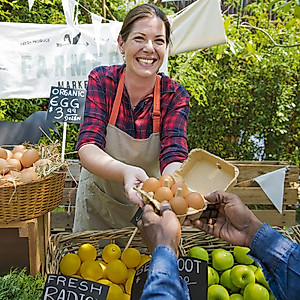 WISHOPE 40 Pieces Paper Egg Cartons for Chicken Eggs Pulp Fiber Egg Tray Holder Bulk Holds 6 Count Eggs Family Farm Market Travel Egg Storage Containers Included 40 Labels Brown