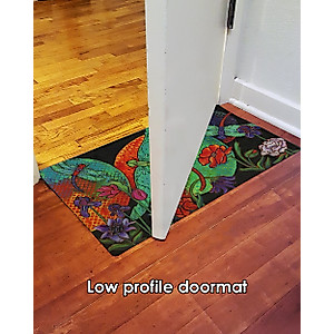 Toland Home Garden 800172 Twilight Flight Summer Door Mat 18x30 Inch Dragonfly Outdoor Doormat for Entryway Indoor Entrance