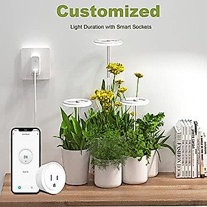 CreaCity Grow Light, Full Spectrum 72 LED Plant Light for Large Indoor Plants, Height Adjustable Growing Lamp with Auto On/Off Timer 3/9/12H