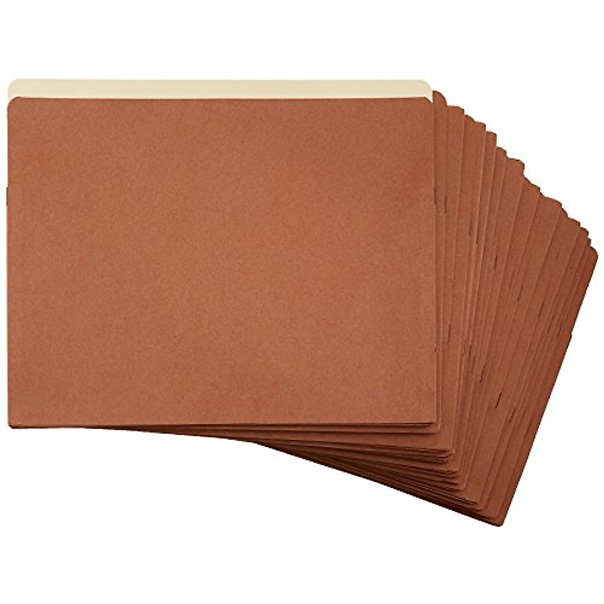 Amazon Basics Expanding File Pocket Folder Organizer, Letter Size, 3.5-Inch Expansion - 25-Pack, 9.5 x 11.75 Inches