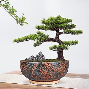 Fivepot 10+8 Inch Ceramic Succulent Planter Pots with Drainage Hole Clay Flower Pot for Indoor Plants Round Shallow Bonsai Pot with Bamboo Tray White