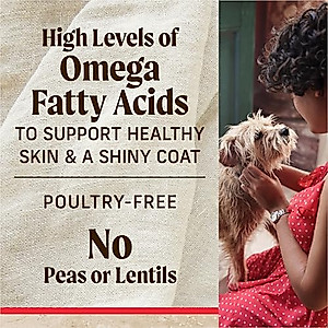 Merrick Healthy Grains Premium Adult Dry Dog Food, Wholesome And Natural Kibble With Beef And Brown Rice - 12.0 lb. Bag