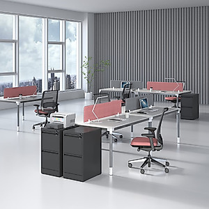 Yukimo Vertical File Cabinet with Drawers, 2 Drawer File Cabinet for Home Office, Locking File Cabinet Hanging Files for A4/ Legal/Letter, Black