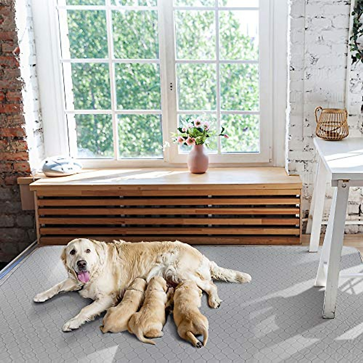 ZICOTO The Ultimate Easy to Clean XXL Puppy Whelping Pad 72"x72" - Our Washable Super Absorption Pee Pad is Perfect for Your Whelping Box Or Exercise Playpen- The Durable Non Slip Floor Mat for Dogs