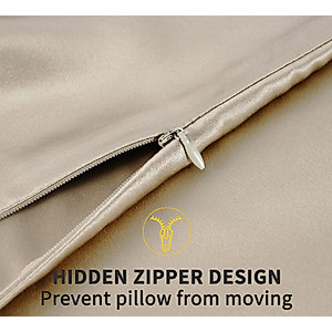 ZIMASILK 100% Mulberry Silk Pillowcase for Hair and Skin Health,Soft and Smooth,Both Sides Premium Grade 6A Silk,600 Thread Count,with Hidden Zipper,1pc (Queen 20''x30'',Taupe)