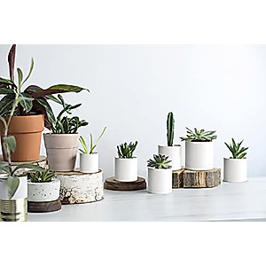 Pack of 20 Plastic Plant Pots (4 Set of 2 Inch, 2.5 Inch, 3 Inch, 3.5 Inch, 4 Inch) Small Garden Planter Pots for Plant with Drainage Holes and Saucers, White Color, 74-U-XS-1