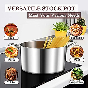 Herogo 6 Quart Stock Pot, 18/10 Stainless Steel Pasta Pot with Lid, 6 QT Cooking Pot with Handles, Tri-Ply Stockpot for Induction Gas Electric Stove, Dishwasher Safe