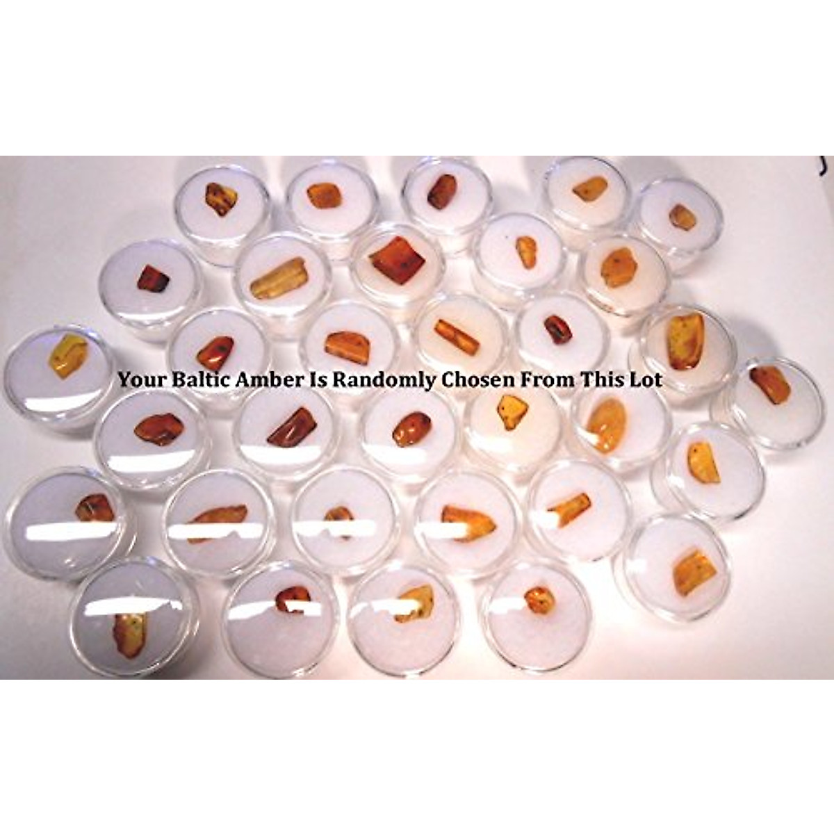 Genuine Fossil Baltic Amber Resin with Insect Inclusion from Lithuania with Free Magnifying Glass, Acrylic Display Stand, Fact Sheet & COA Bundle.