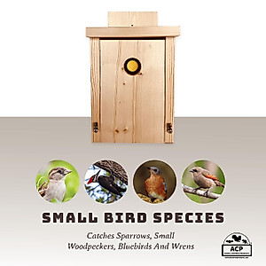 Sparrow Birdhouse Trap 1.5" Bird Hole w/Trap Door | Highly Effective & Easy to Use | Catch and Release Problem Sparrows Small Woodpeckers Wrens & Small Little Annoying Grey Brown Birds Species