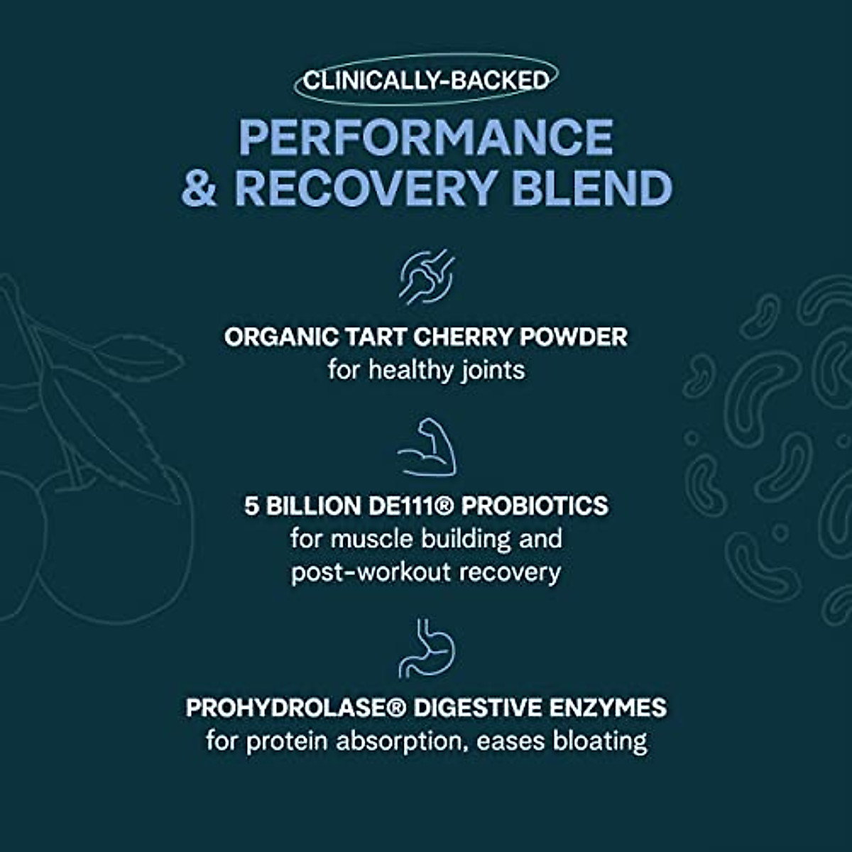 Ora Organic Work It: Ultra Clean Plant-Based Protein Powder Optimized for Recovery and Performance - with Tart Cherry, ProHydrolase, and Probiotics - 15 Servings (Chocolate, 15)