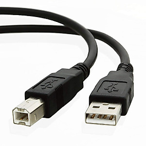 RiteAV 6 inch USB 2.0 A Male to B Male Cable - Black