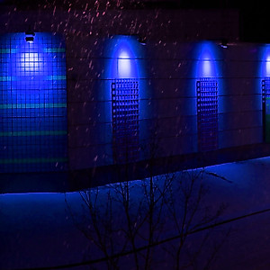 REMINDA Blue Flood Light Bulbs, 15W (100 Watt Equivalent) E26 Base Par38 LED Blue Light Bulb for Halloween Decor, Holiday, Christmas, Porch, Backyard (2 Pack)