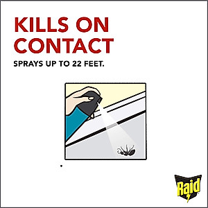 Raid Wasp Hornet Killer Spray (14 Ounce (Pack of 4))
