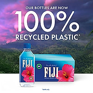 FIJI Natural Artesian Water, 16.9 Fl Oz (Pack of 24)
