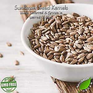 Unsalted Sunflower Seed Kernels by Gerbs – 2 LBS - Top 11 Food Allergen Free & Non GMO - Premium Dry Roasted Shelled Sunflower Seeds – COG USA