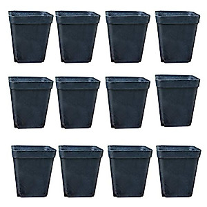 NUOBESTY 2 Inch Black Square Flower Pots Small Plastic Plant Pots 100PCS Square Flower Plant Pots Mini Succulent Pot for Cactus Bonsai