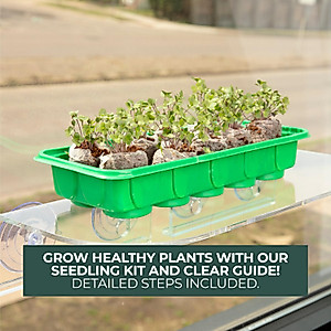 Window Garden Mini Greenhouse Seed Starter Kit – Reusable Seedling Trays - Indoor Germination Tray with Humidity Dome and Soil Pods - Windowsill Seeds Germinator - 30 Cells Starting Trays, 3 Pack