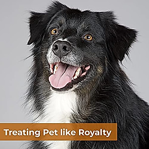 Bowsers Natura Woven Scoop Dog Bed M