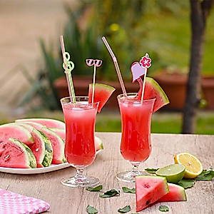 Hawaiian Luau Assorted Picks Tropical Cocktail Bamboo Toothpicks Flamingo Pineapple Beach Toucan Palm Leaf Handmade for Appetizers Food Drinks Luau Hawaii Beach Holiday Party Supplies (100 Pieces)