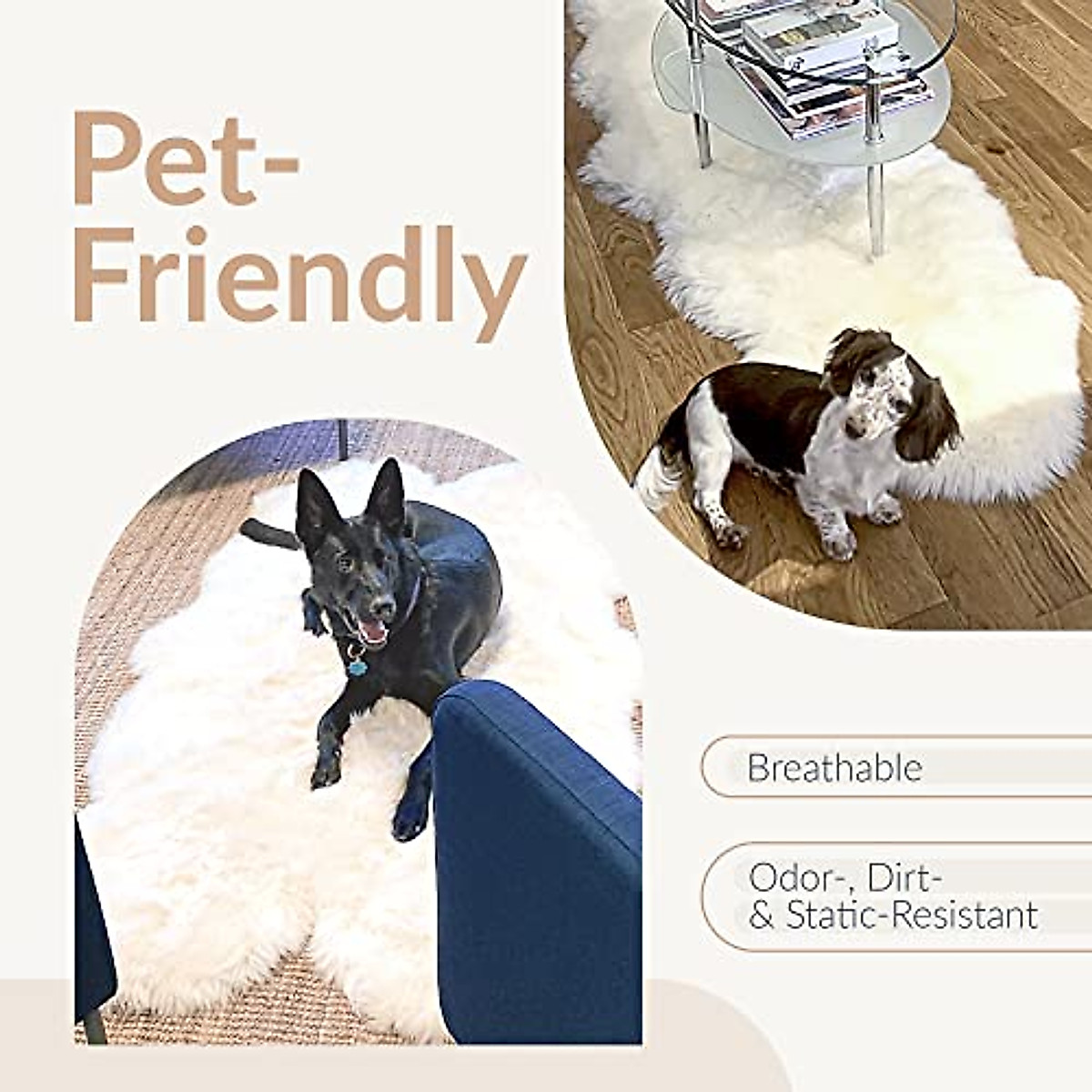 Sheepskin Ranch Real Long Wool Sheepskin Rug for Natural Home Decor, 6 x 2 Feet (Double)