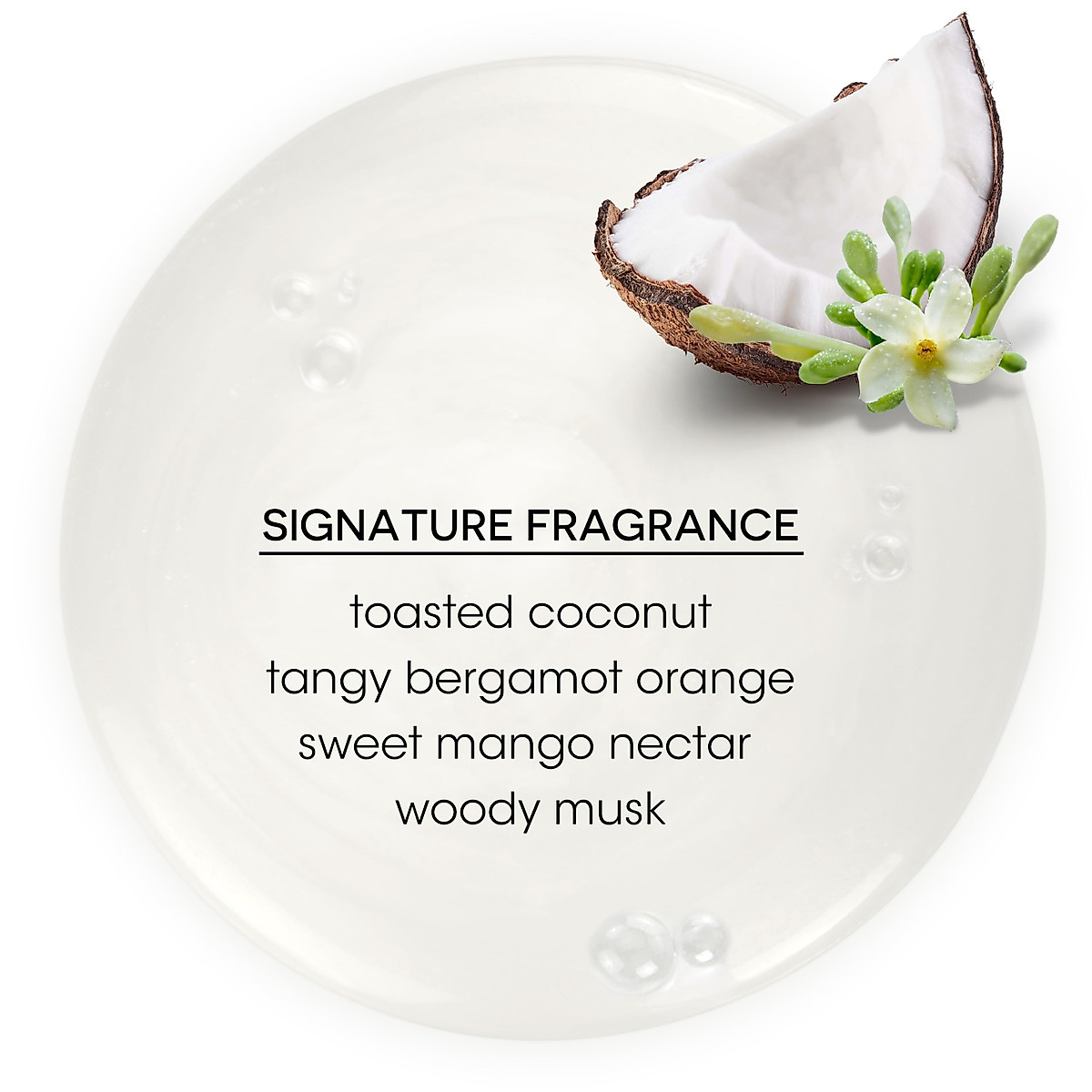 Bain de Terre Coconut Papaya Ultra Hydrating Shampoo, Moisture Quench for Dry, Damaged Hair, with Argan & Monoi Oils, Paraben-Free, Color-Safe, Vegan,13.5 Fl Oz