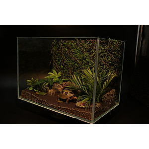 AQUA KT Terrarium Moss Background Backdrop Wall Artificial Reptile Amphibian Cage Decoration for Lizard Bearded Dragon Snake Frog Chameleon Climbing, Pack of 2