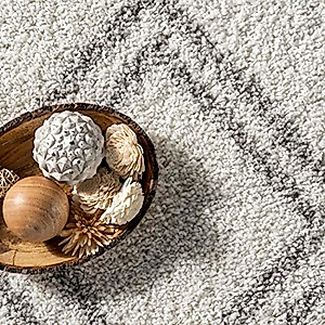 nuLOOM Iola Geometric Shag Runner Rug, 2' 8" x 8', White