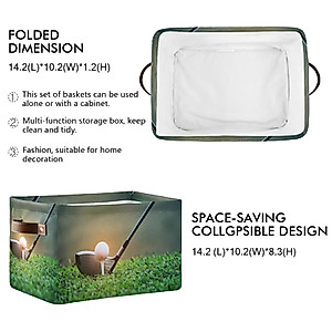 FZDXZJJ Sport Golf Ball Theme Storage Basket Bins, Cool Decorative Baskets Storage Box Collapsible Storage Cubes Organizer with Handles for Nursery Shelf Closet Office Home Bedroom, 2 Pack