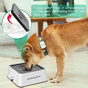 URPOWER 2L Water Bowl, 70oz Large Capacity No Spill Dog Bowl with Eco-Friendly Material, Slow Water Feeder / Dispenser Vehicle Carried Travel for Cats & Pets