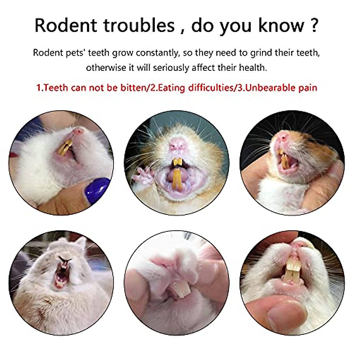 okdeals 3-Pack Hamster Chew Toys, 300g Apple Sticks Timothy Hay Sticks Sweet Bamboo 3 Types Combinedmolar Stick, Suitable for Chinchilla,Squirrel,Hamster,Squirrel and Bunny