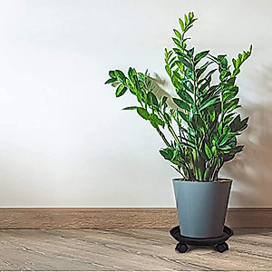 Fasmov 3 Pcs Plant Pallet Caddy Plant Stand Round Flower Pot Mover, Plant Pot Pallet Dolly Caster with Universal Wheels (Black)