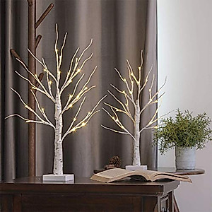 EAMBRITE Lighted Birch Tree for Easter Day Decor, Set of 2 Easter Tree Indoor, Battery Operated Artificial Tree with Lights, Christmas Easter Tree Decorations for Home (2FT / Warm White)