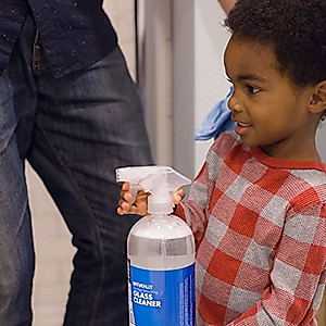 Better Life Natural Streak Free Glass Cleaner, 32 Ounces (Pack of 2), 24425