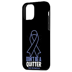 iPhone 12 mini Novelty Don't A Quitter Like My Pancreas Fighters Fan Case