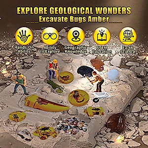 Amber Dig Kit Includes Excavate 12Pcs Insect Ambers and Many Crystal Stones As Fun Geology Science STEM Educational Bugs Toys for Science Educational (Bugs)