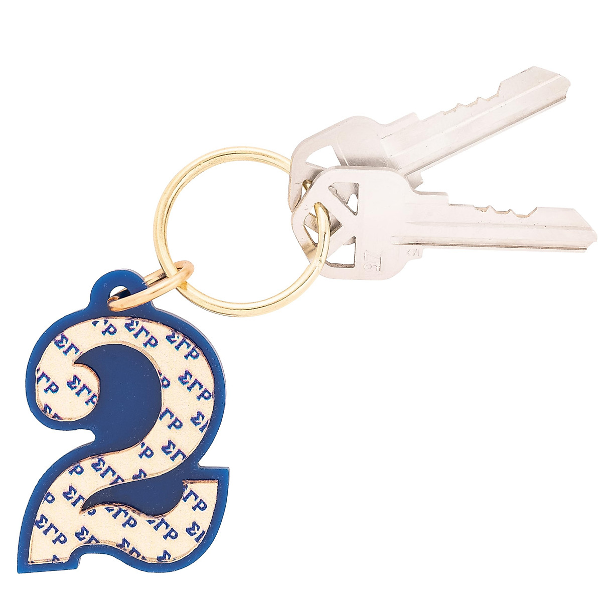 Desert Cactus Sigma Gamma Rho Keychain Line Number # Cross Over Initiation Acrylic Mirrored Decorative SGR Divine 9 (#2 Line Number Keychain)