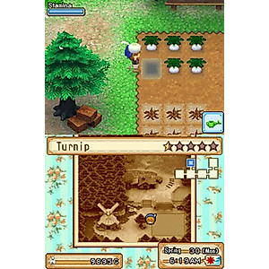 Harvest Moon: Grand Bazaar - Nintendo DS