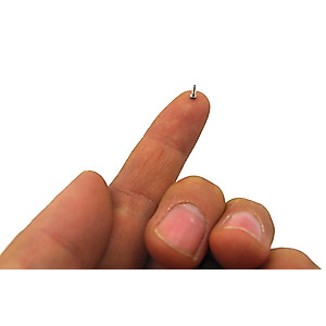 HVAZI 12 Kinds M1 M1.2 M1.4 M1.7 304 Stainless Steel Phillips Rounded Head Small Self Tapping Screws Assortment Kit