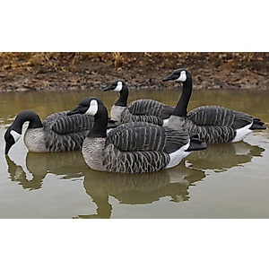 Ultralight 100% HydroFoam Canada Goose 4 Pack - Light as a Feather - Lasts Forever