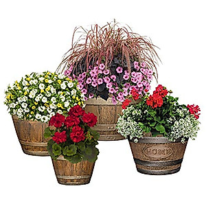 Classic Home and Garden S72CP3D-037R Whiskey Barrel Planter 3 Pack, 15", Kentucky Walnut