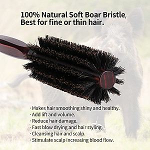 PERFEHAIR Round Boar Bristle Hair Brush-1.8 Inch, Blow Drying & Styling Soft Natural Boars Wooden Hairbrush for Women & Men's Short Fine Hair, Beard