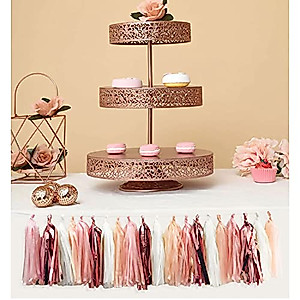 Rose Gold Tissue Paper Tassels Garland Banner for Party Birthday Wedding Decoration Baby Shower Table Decor (20 Pcs)