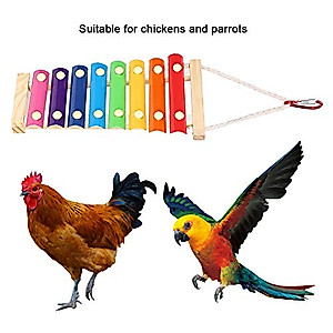 Zerodis Birds Hanging Xylophone Toy, Parrot Rooster Pecking Xylophone Toy Hen Relieve Boredom Percussion Toy with Different Sounds for Pet Parrot Bird