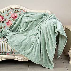 Devirld Fleece Blanket Soft Throw Blanket Fluffy Blankets Warm Plush Cozy Throws for Couch Sofa Bed, Mint Green, Throw(50"x60")