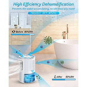 LONONEN Dehumidifiers - 5000 Cubic Feet Upgraded Large Dehumidifiers for Home Basements with Drain Hose, 61 oz Quiet Portable Dehumidifier Small for Room Bathroom Bedroom Closet RV Up to 450 Sq ft