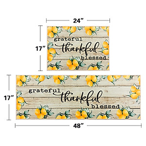 Asrug 2 Pieces Kitchen Rug Set Non-Slip Backing Mat Natural Design Throw Rug for Kitchen Doormat Runner Rug Set, Lemon Design, 17"x48"+17"x24"