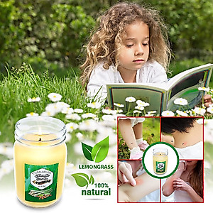 Set of 2 Large Citronella Candles for Summer Scented, 11oz Long Lasting Mason Glass Jar Candle for Patio Garden Yard Home Kitchen Bedroom, Outdoor and Indoor